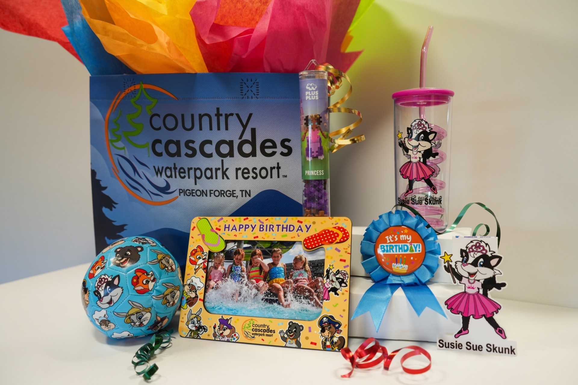 Birthday Packages | Country Cascades Waterpark Resort