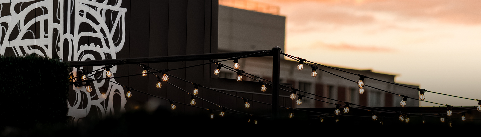 Washington DC Restaurants | Hotel Hive | Official Site