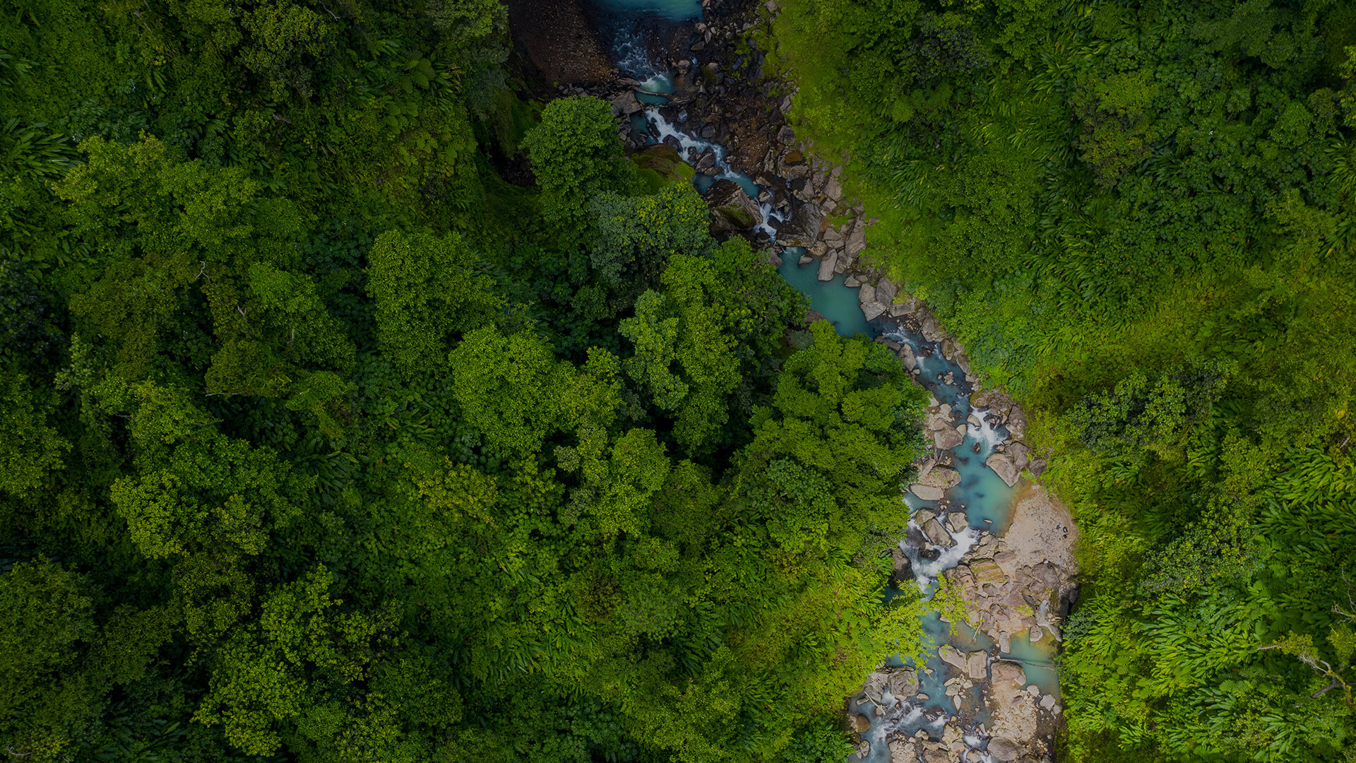 Ocean Oasis | Official Site