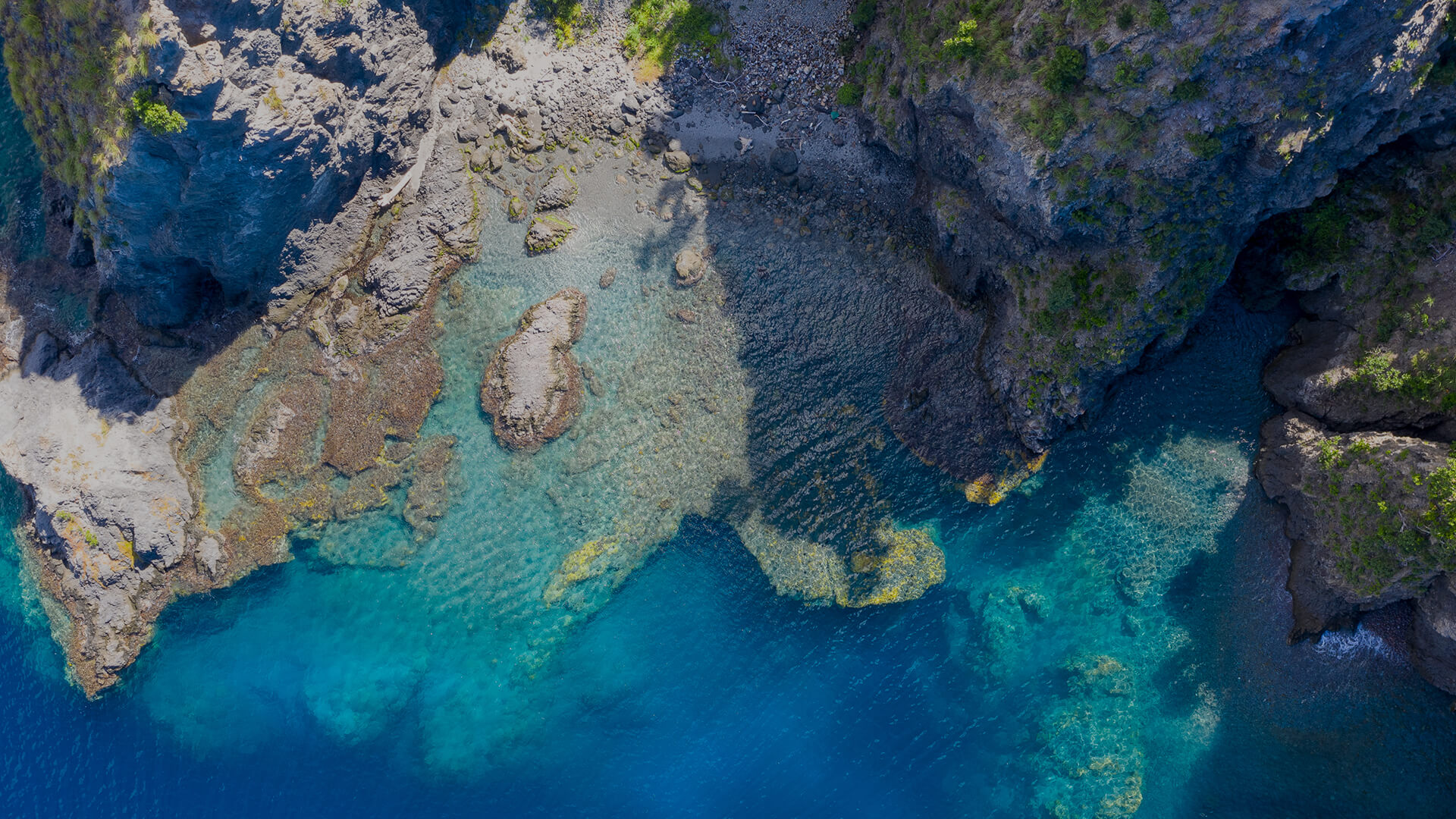 Ocean Oasis | Official Site