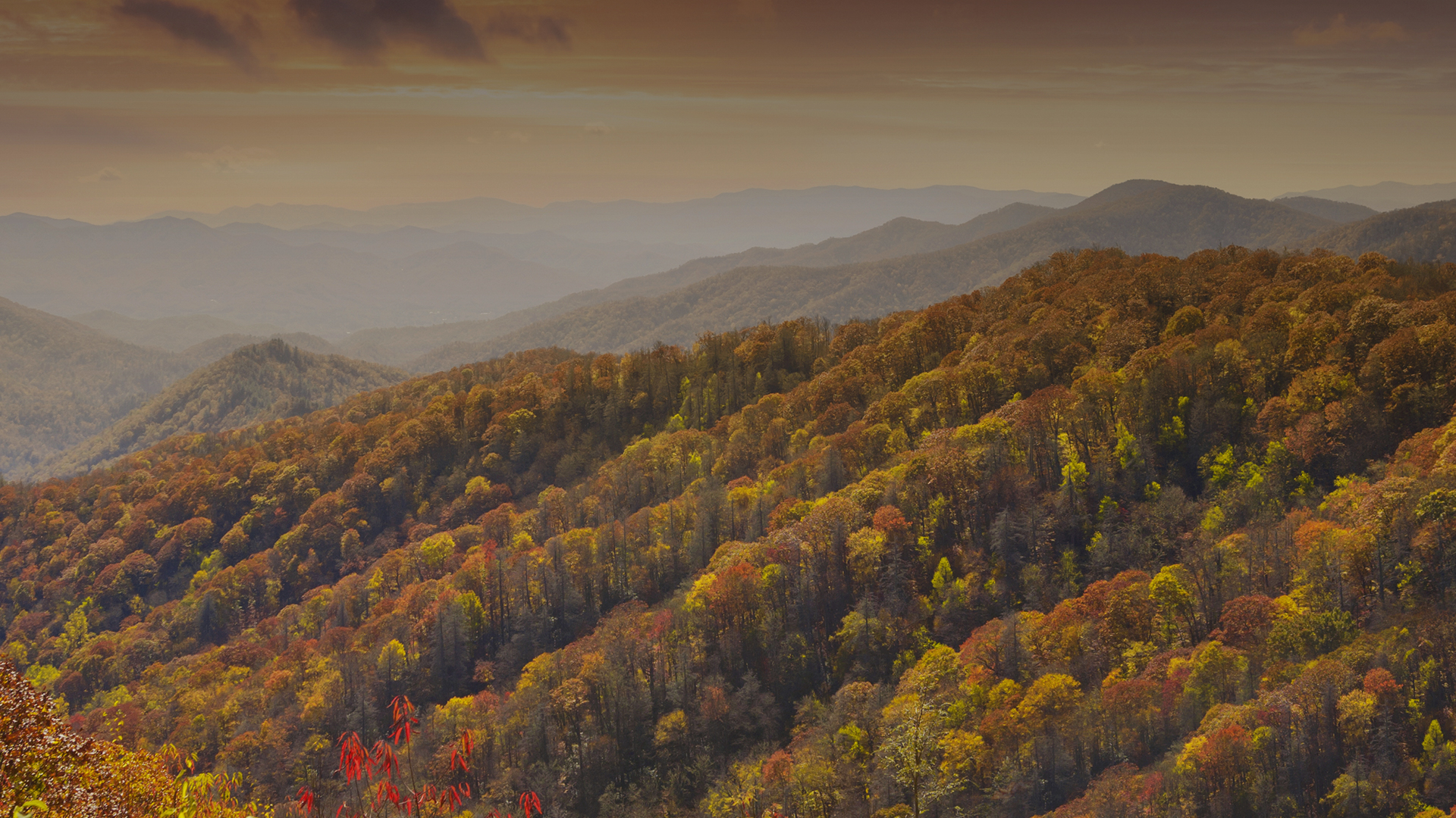 Switzerland Inn | Official Site