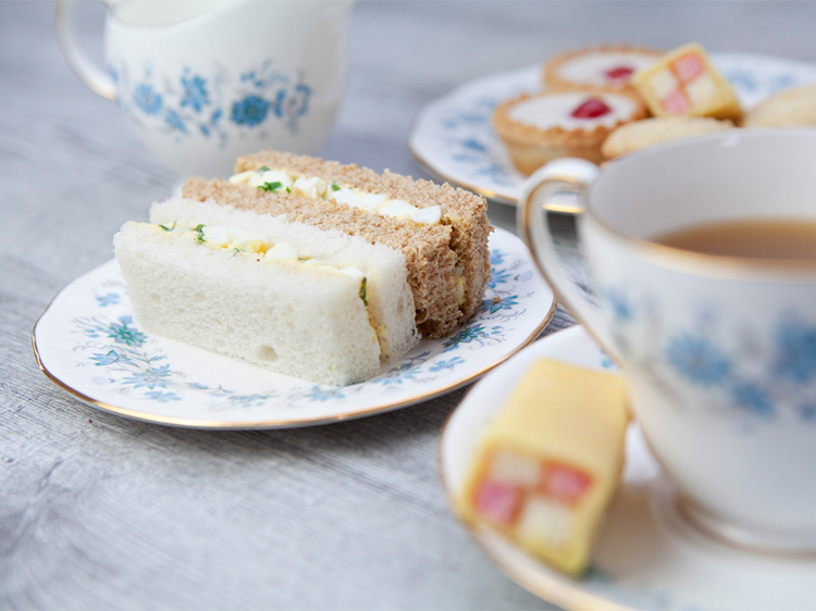 The Olive Ann Hotel | Official Site