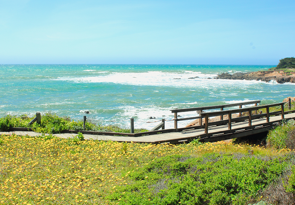 The Cambria Collection | Official Site