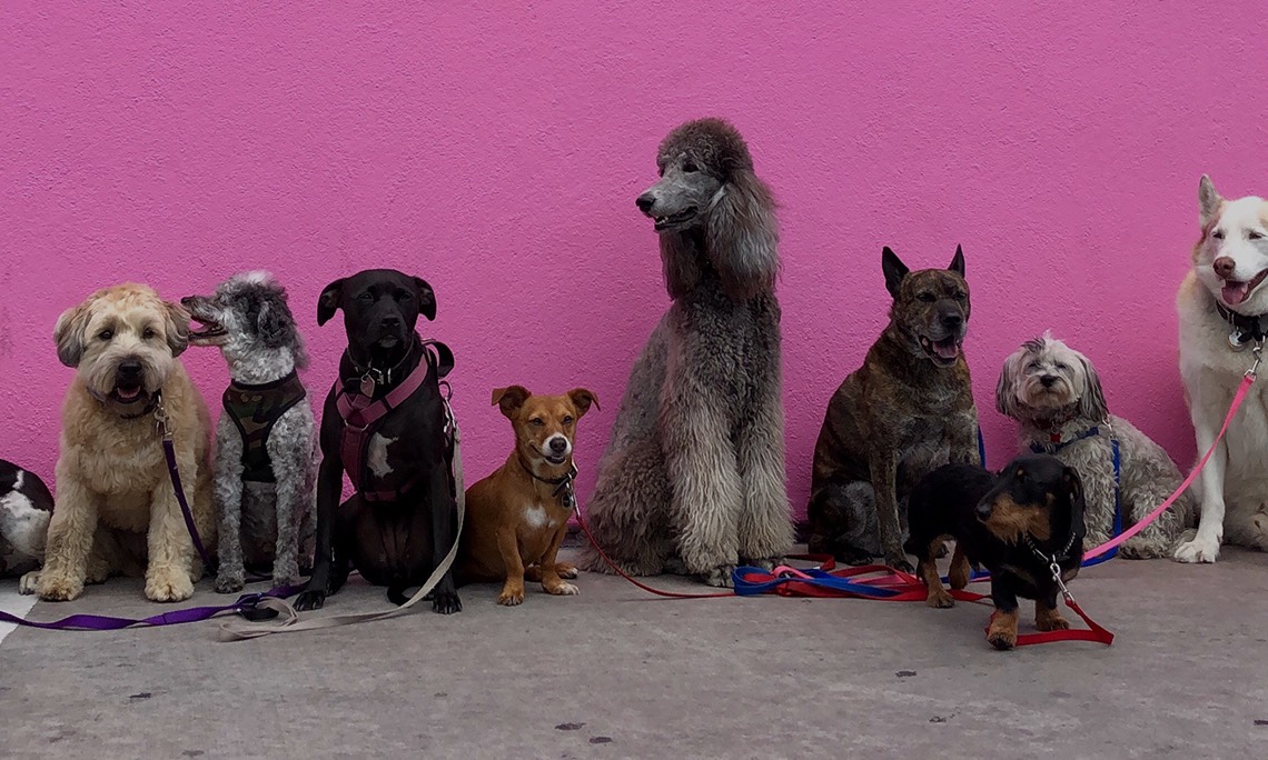 Official Site |The Wayfarer Downtown Los Angeles