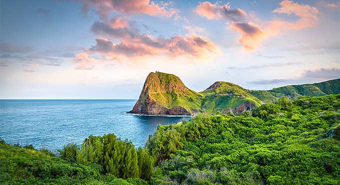 Alii Nui Maui | Official Site