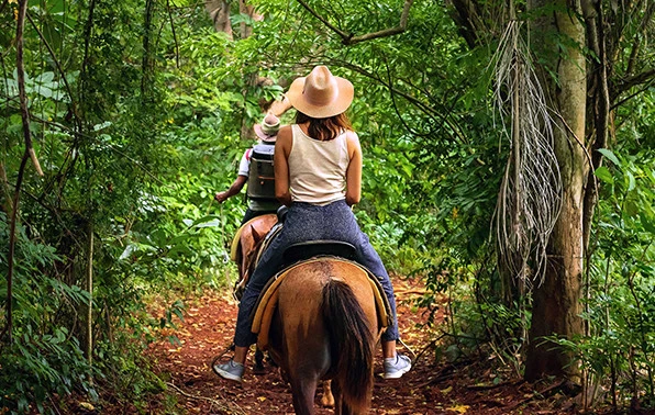 Kihei Activities | Alii Nui Maui