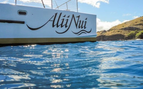 Gallery | Alii Nui Maui