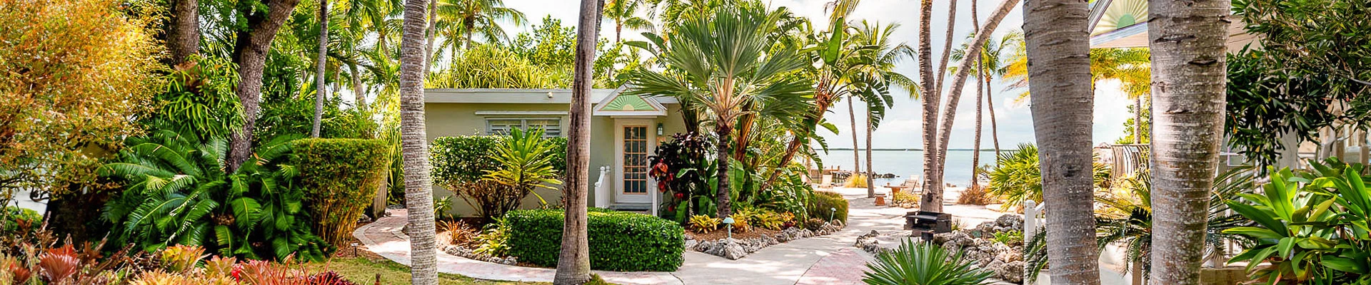 Resort Policies | Amoray Dive Resort