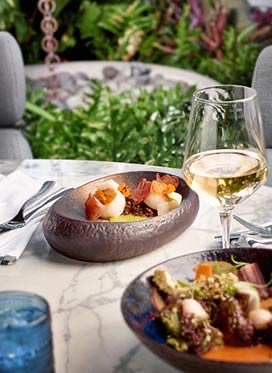 BACÁN Restaurant | Fine Dining Orlando Fl | Official Site