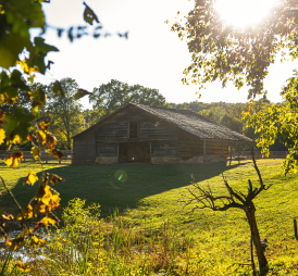 Hotel Georgia Rooms | Accommodations | Barnsley Resort