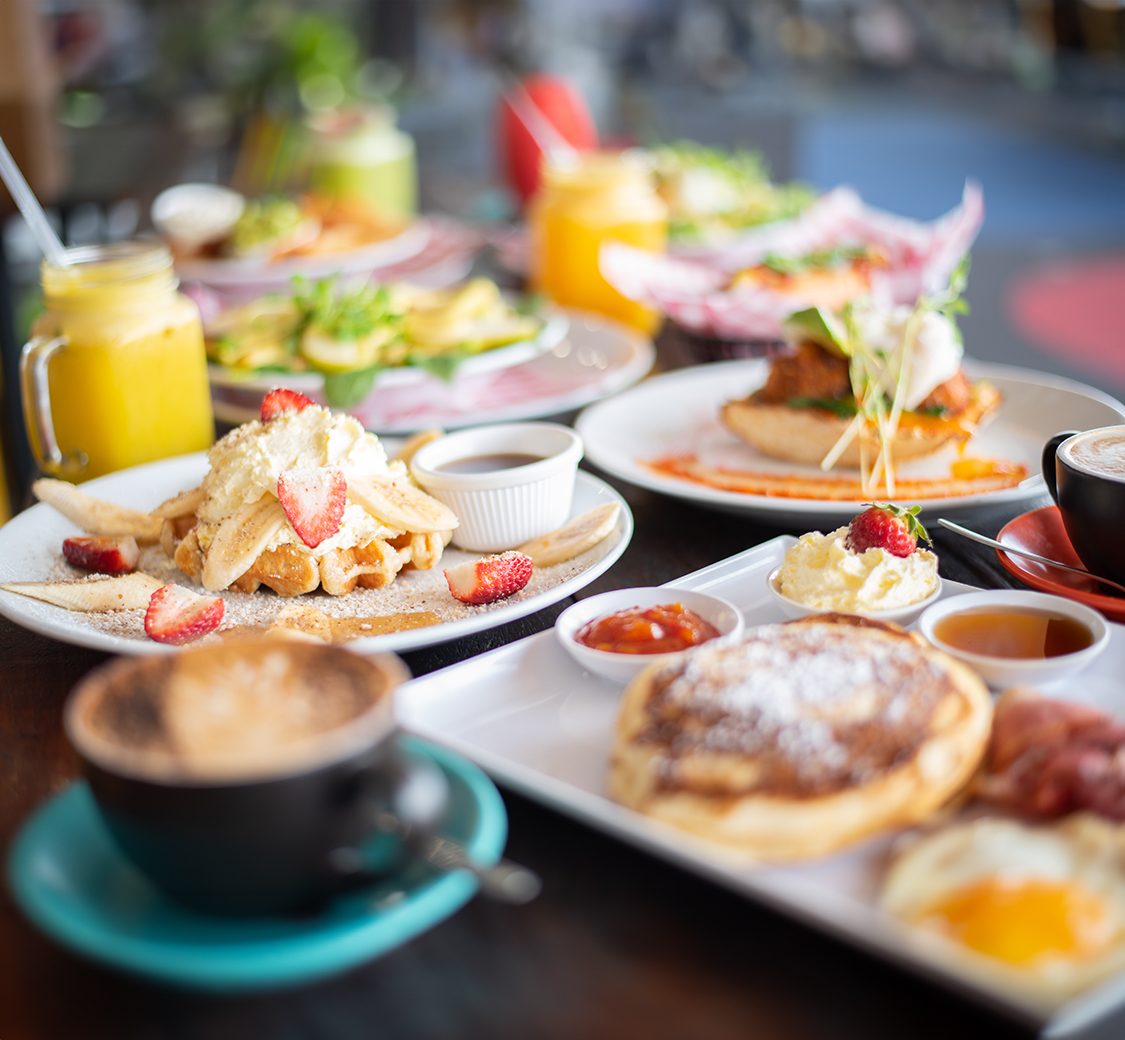 Salsipuedes | Brístol Panamá