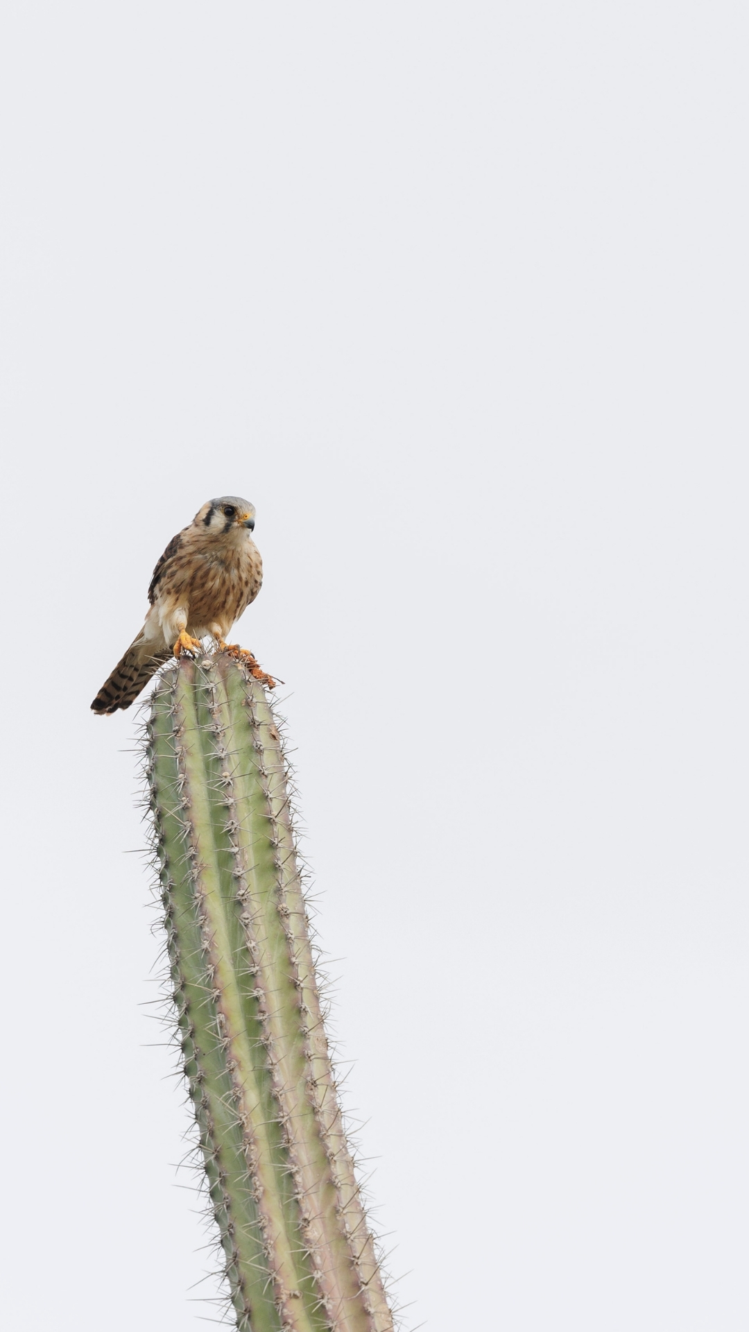 A Sanctuary for Nature and Future Generations | Aruba