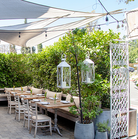 Gallery | Cafe Amici