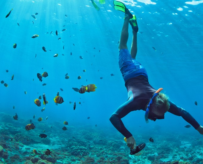 Cape Eleuthera Resort And Marina | Bahamas Resorts | Official Site