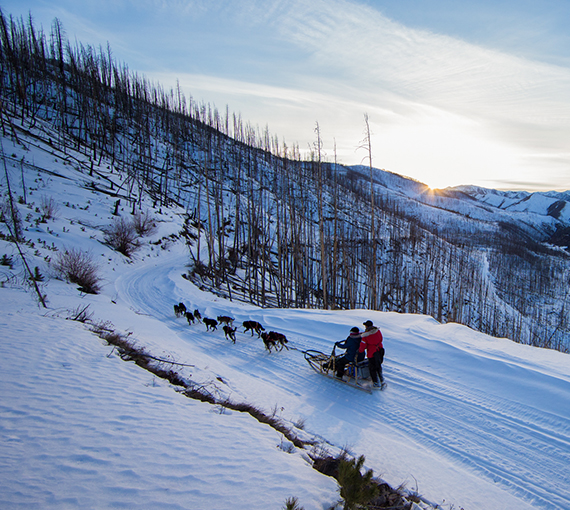 Things to do in Pray Montana | Experiences | Chico Hot Springs Resort