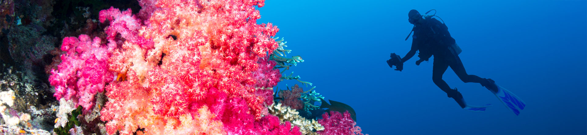 Belize Investment Opportunities | Our Portfolio | Feinstein Group
