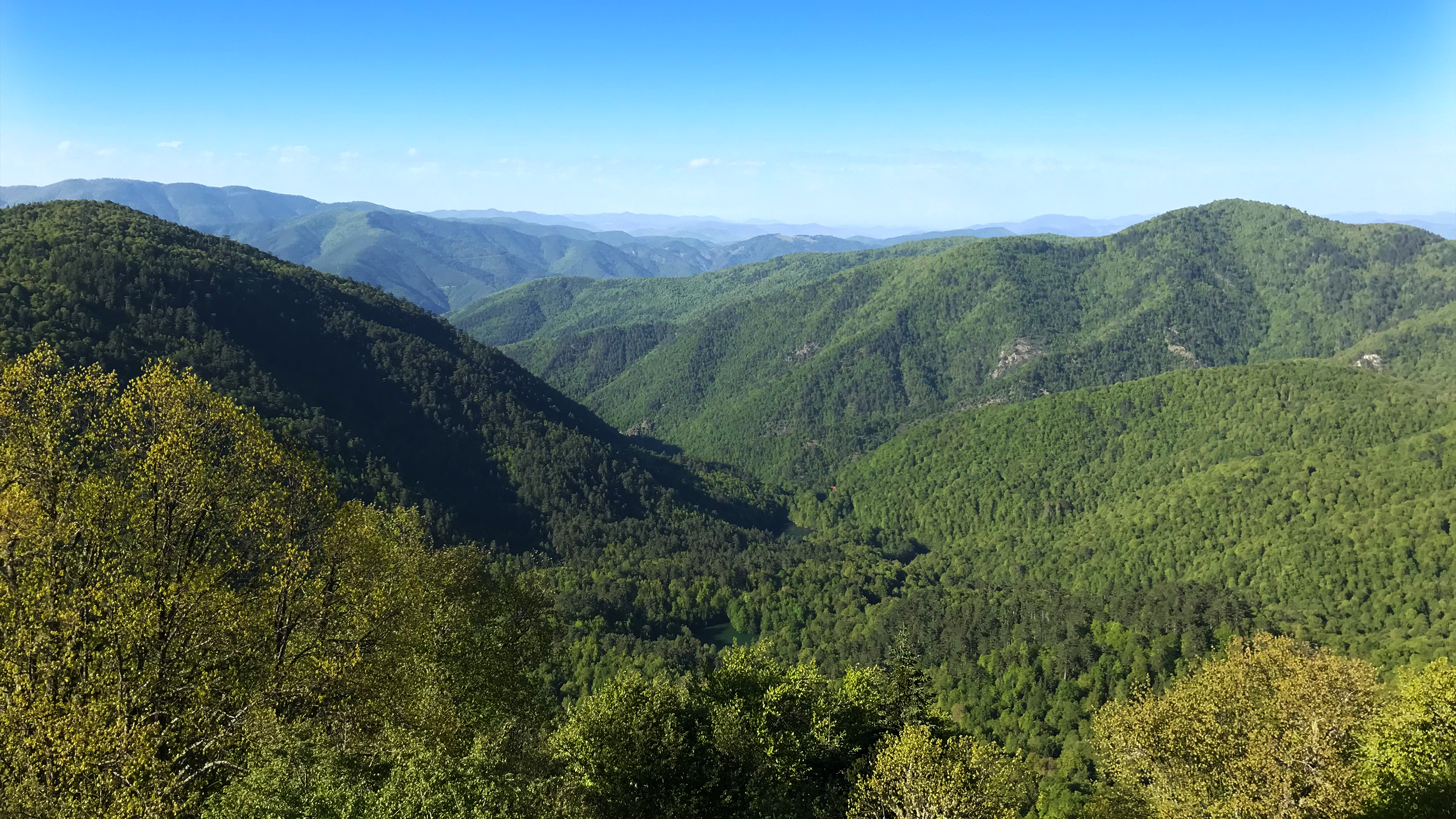 Fontana Village Resort & Marina | Official Website