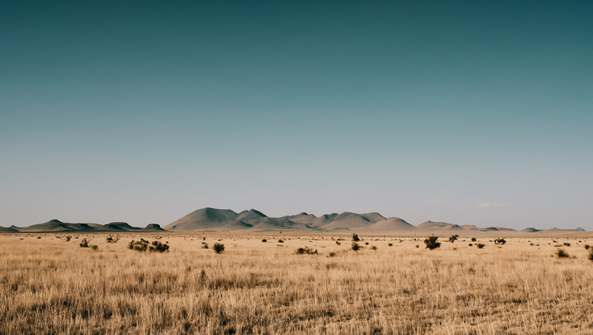 Hotel Saint George | Historic Hotel Marfa TX | Official Site