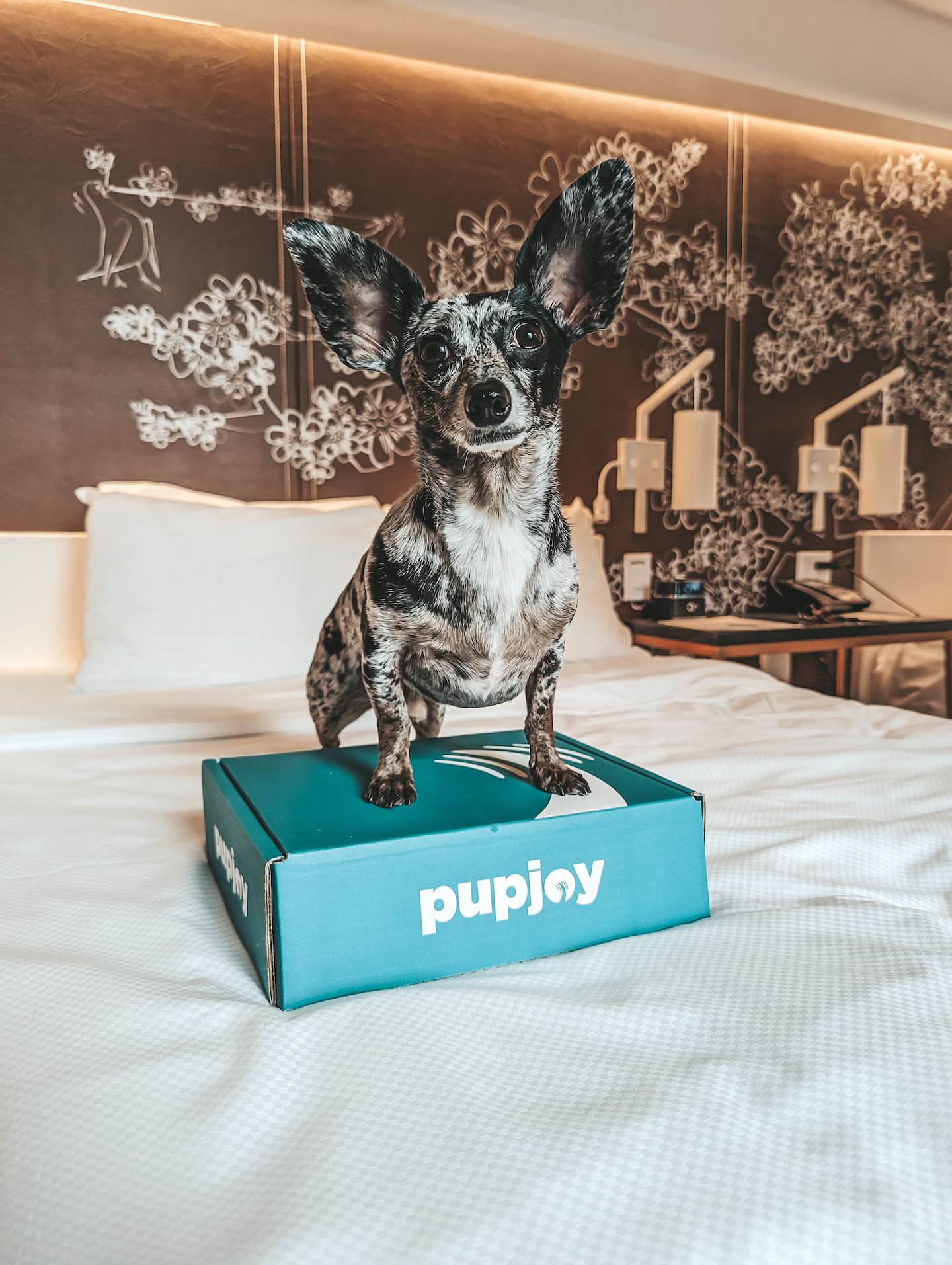 Washington DC Hotel Deals | Offers | Hotel Washington