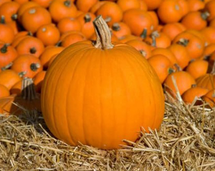 InterAct @ InterCon | InterContinental Miami