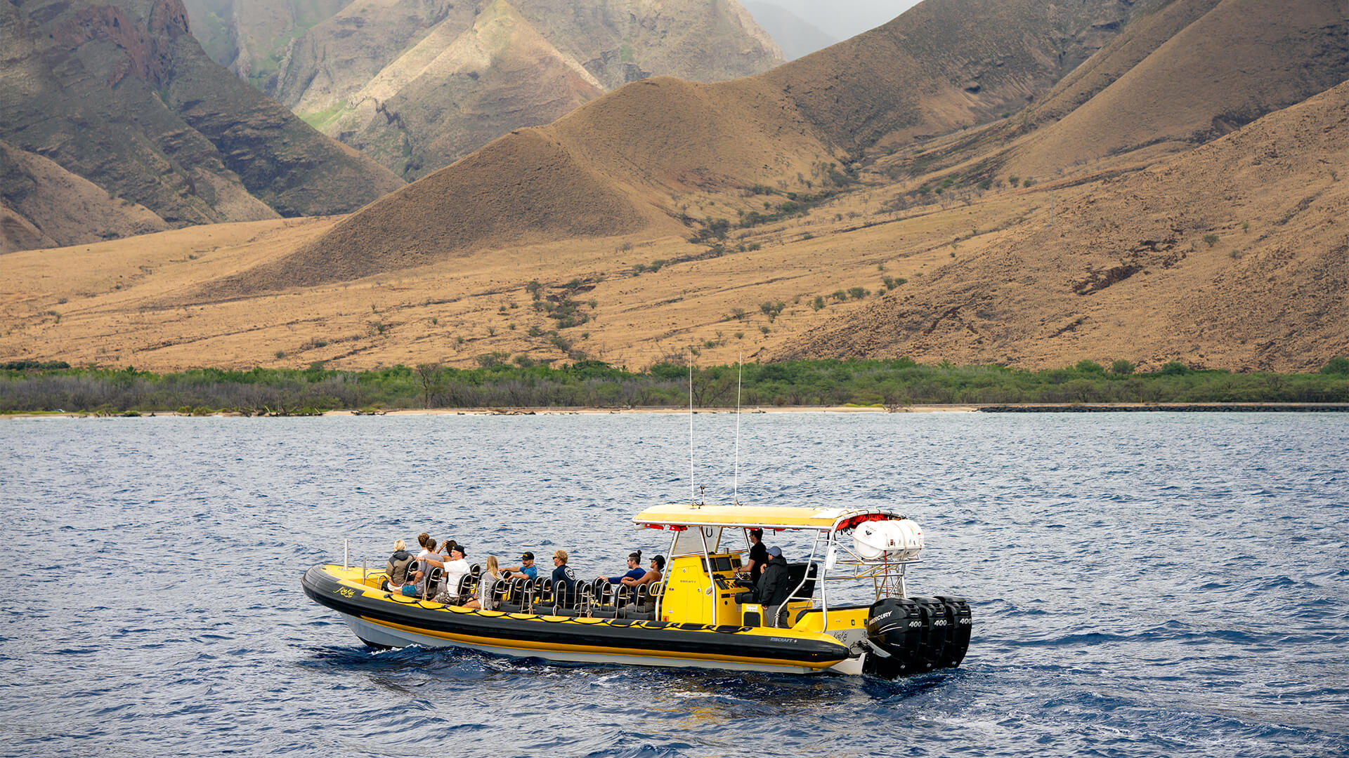 Gallery | Maui Dive Shop