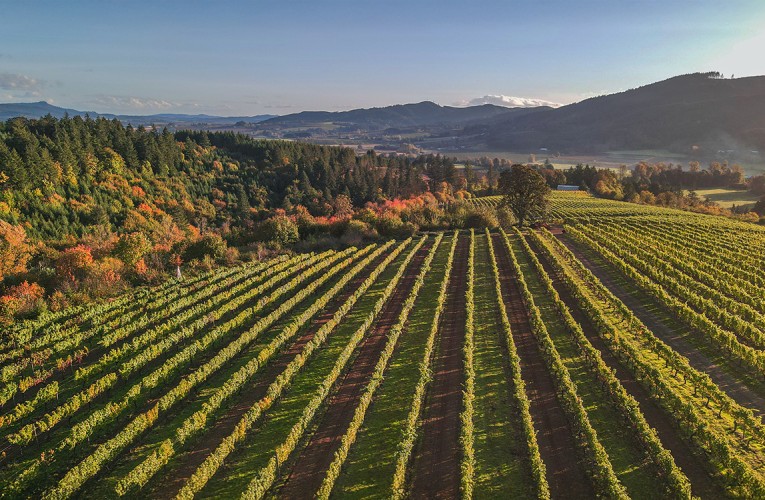 Wine & Food Festival | The Nantucket Inn | Official Site