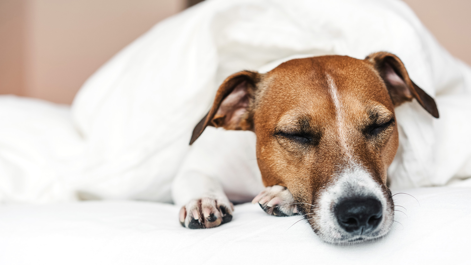 Origin Hotel Kansas City | Official Site