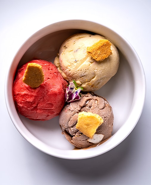 Between The Trees | Official Website