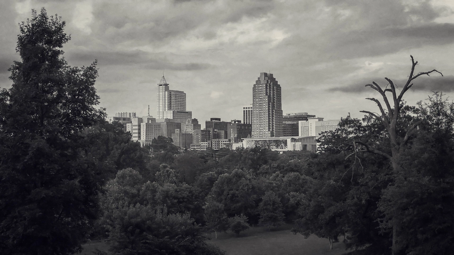 High Rail Raleigh Rooftop Bar | Official Website