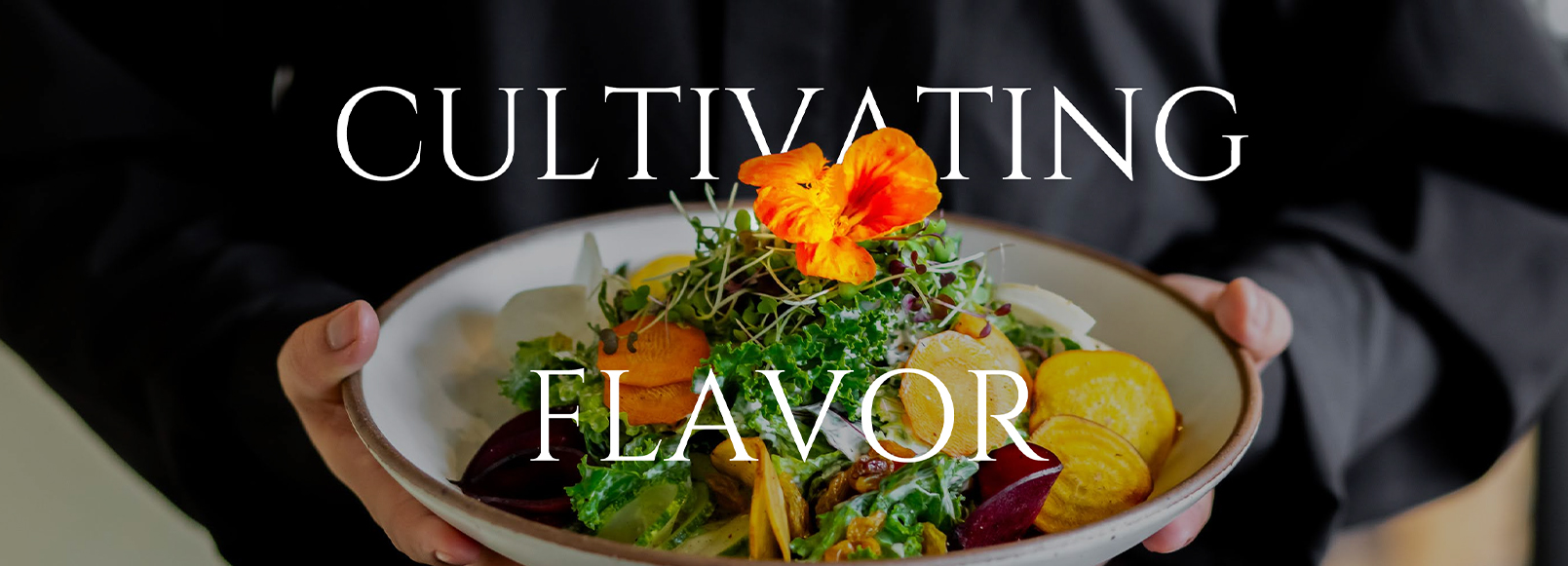 Madison’s Restaurant | Homepage | Official Site