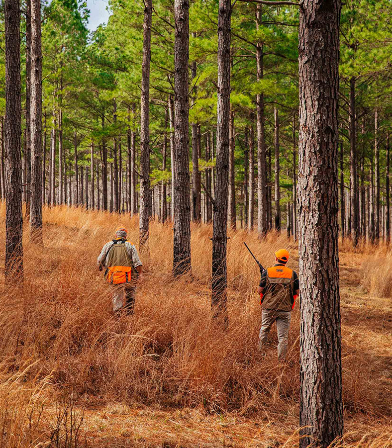 Sporting Club | Providence Hill