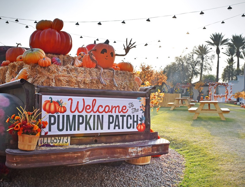 Fairmont Princess Pumpkin Fest | Official Site