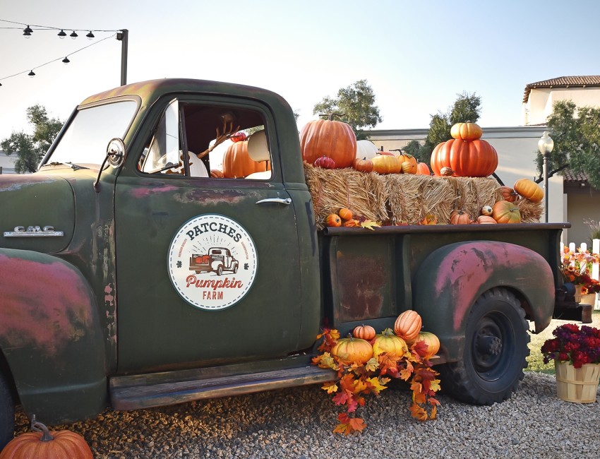Fairmont Princess Pumpkin Fest | Official Site