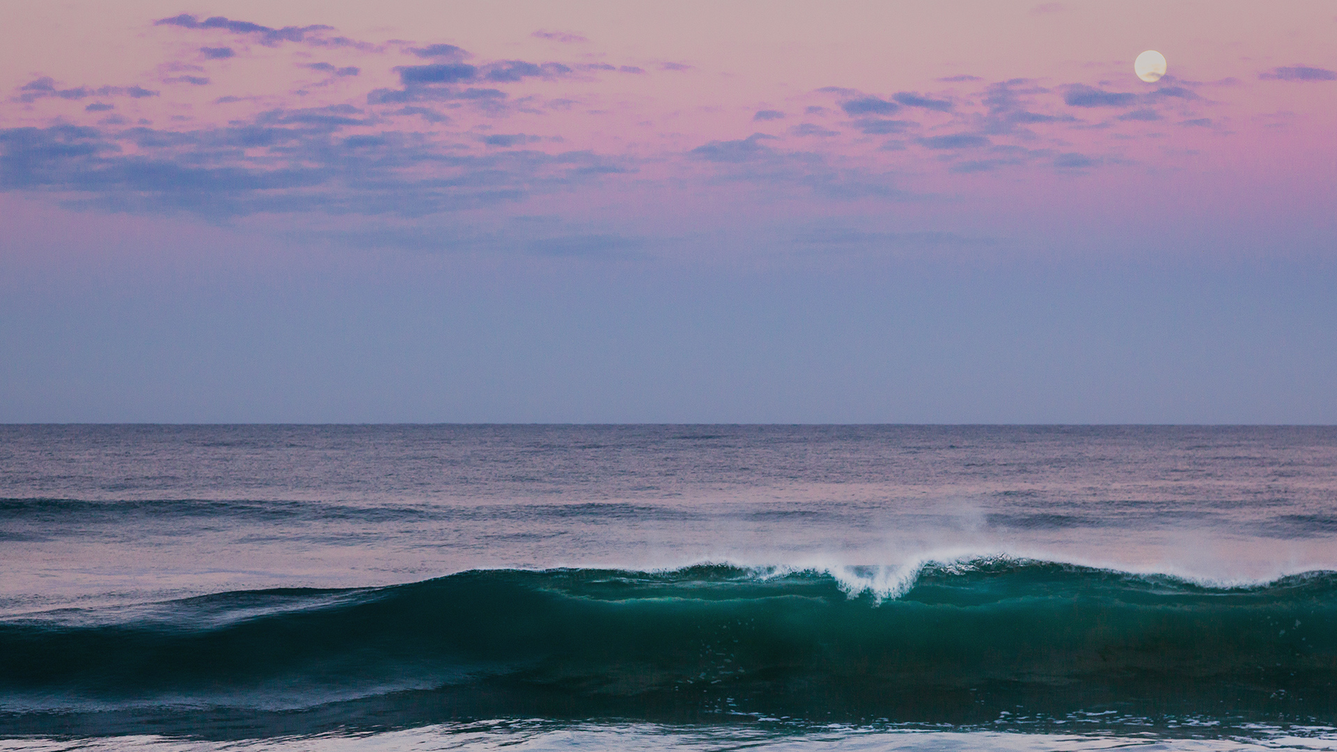 Kimpton Mas Olas | Baja California Sur Hotel | Official Site