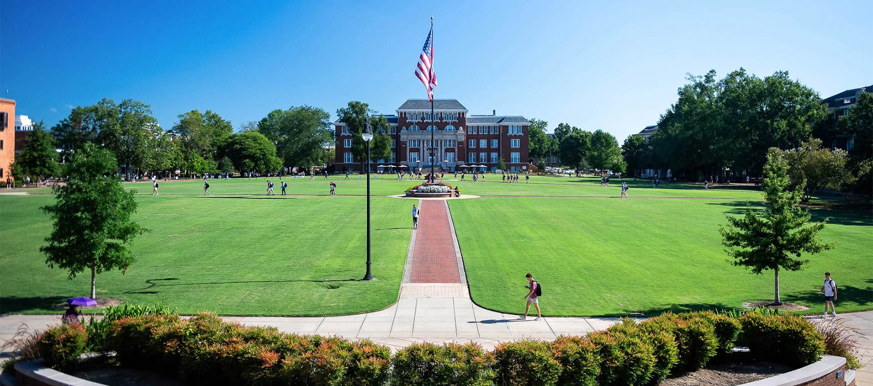 Login | MSU Travel Program