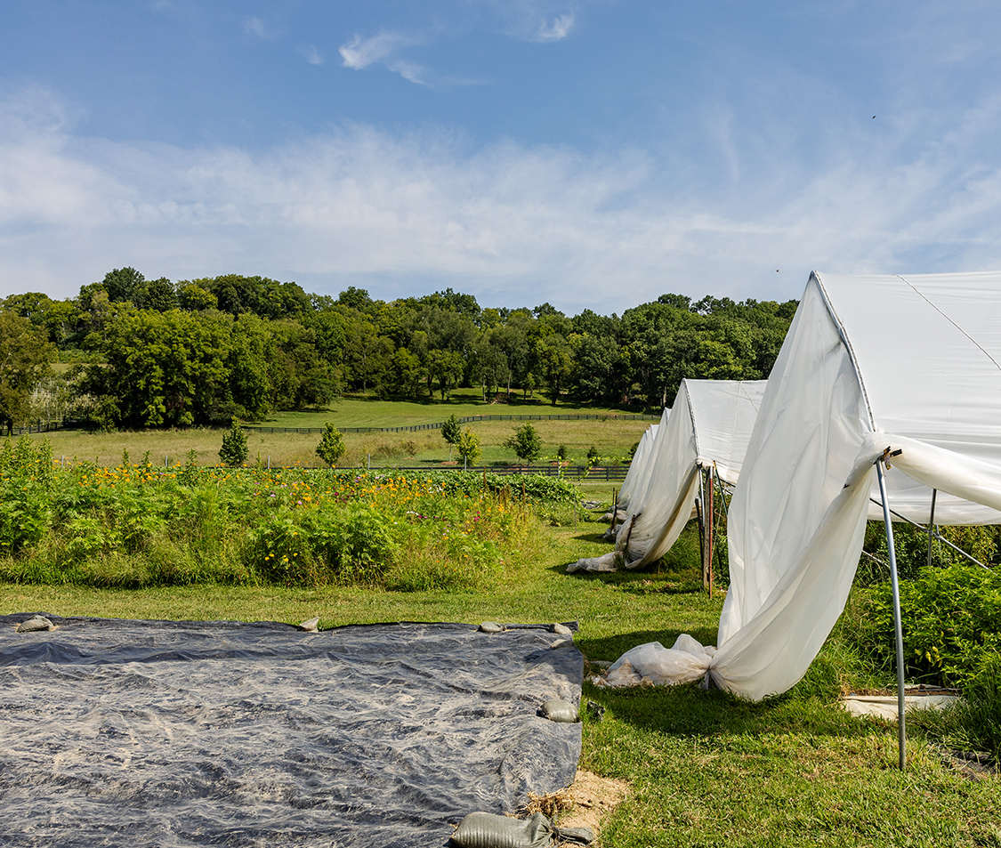 A Family Legacy | Southall Farm & Inn