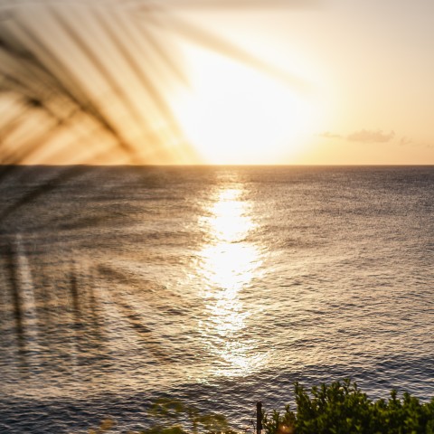 Drop Anchor Grill | Sunset Reef