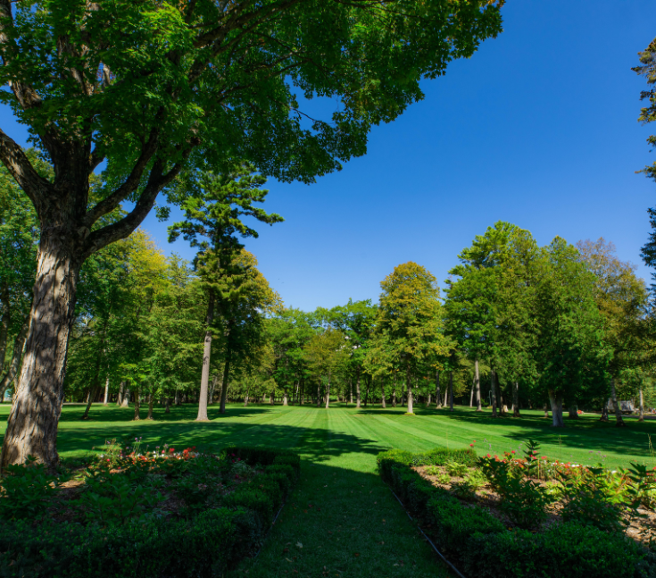 About Stonecliffe | The Inn at Stonecliffe