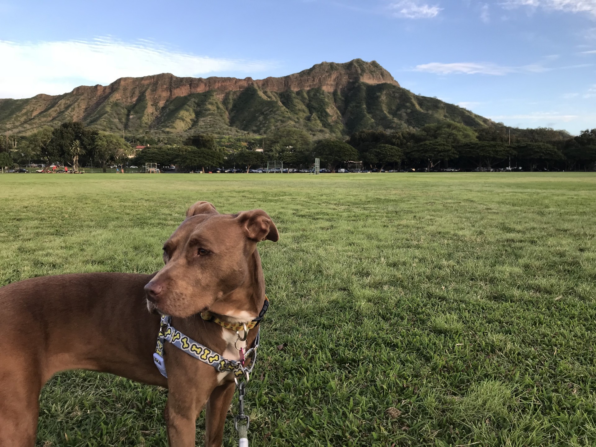 Meet The Team | Wurzak Hotel Group