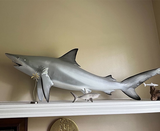 Meet The Team | Wurzak Hotel Group